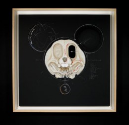 Animated Anatomy | The Disney Blog