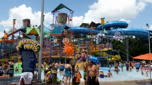 Ending Summer with a splash at SeaWorld Aquatica | The Disney Blog