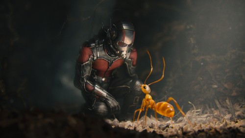 marvel-ant-man-cgi | The Disney Blog