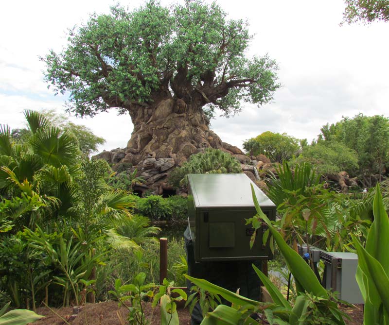 dak-tree-projection | The Disney Blog